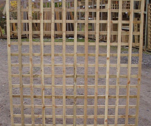Trellis