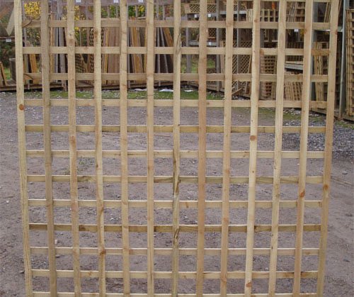 Pressure Treated Green Trellis